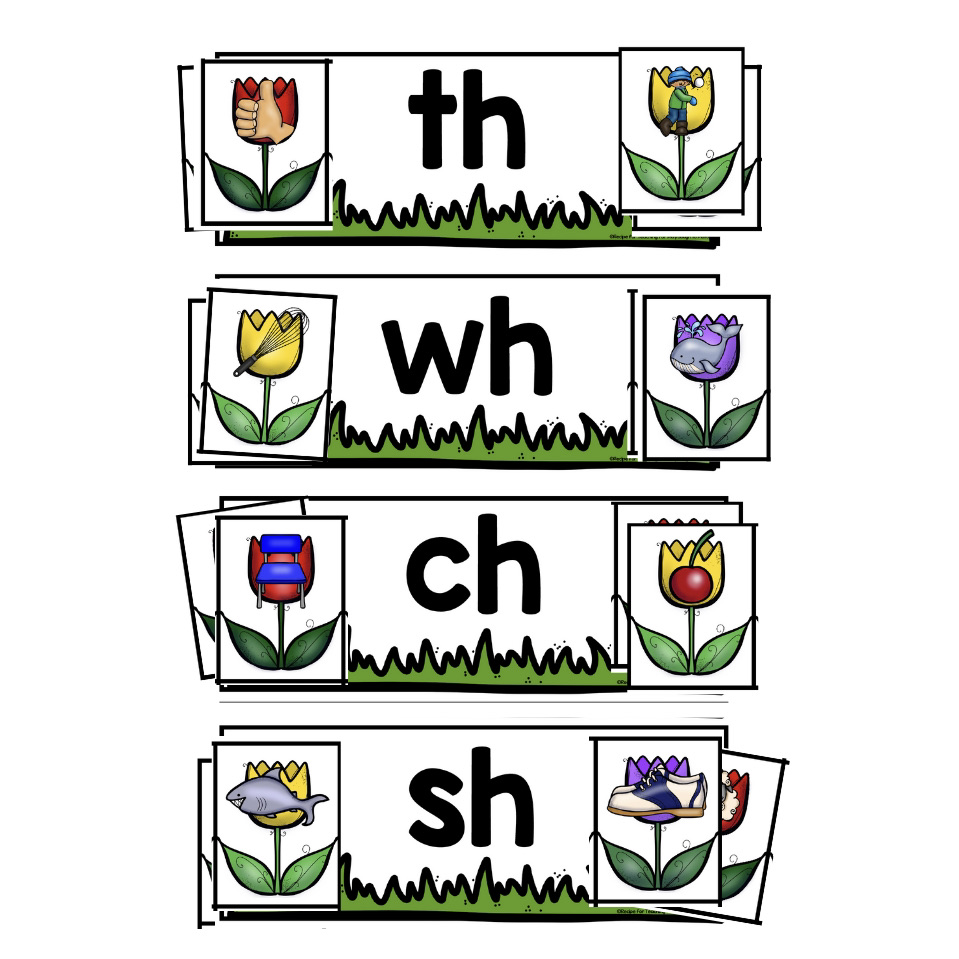 Flower Garden Digraphs - Science of Reading Formula