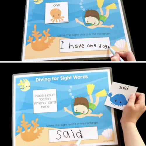 Editable Schedule Cards - Science of Reading Formula